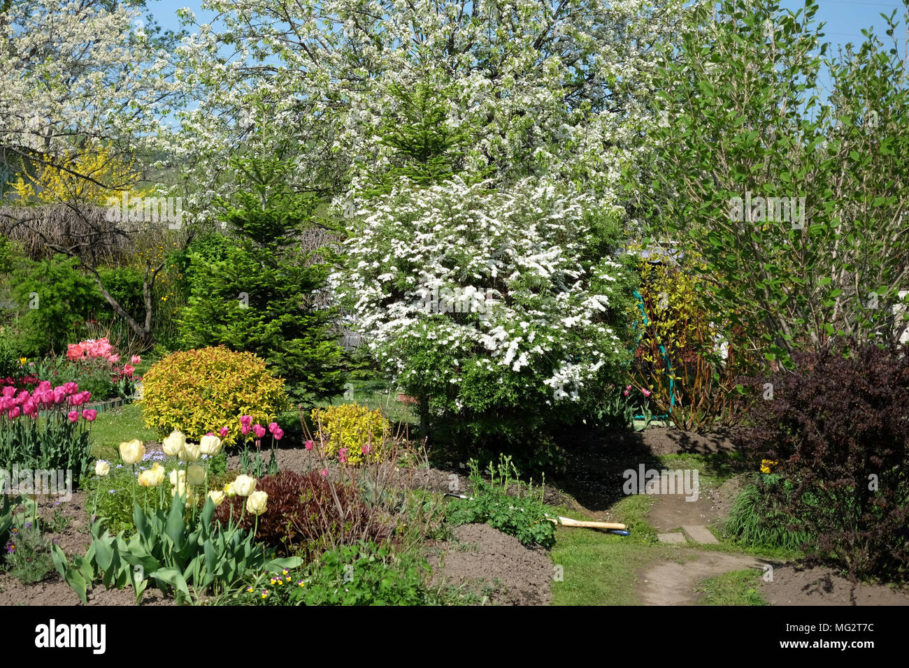 Green trail in beautiful garden with pink flowers Stock Photo - Alamy