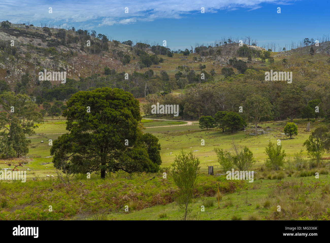 Northern tablelands region of nsw hi-res stock photography and images ...