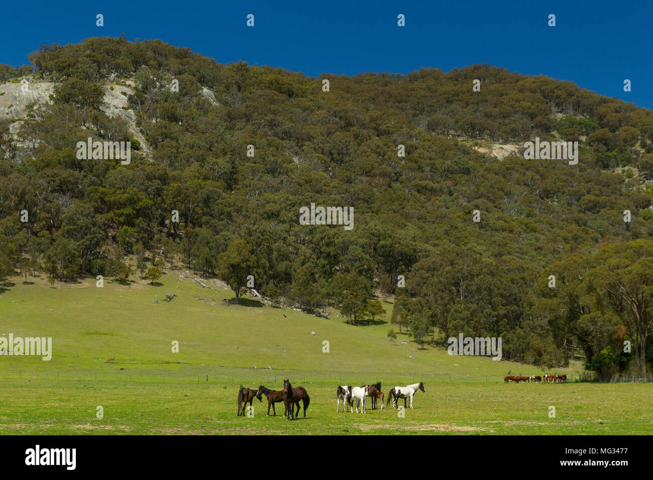 Nsw qld border hi-res stock photography and images - Alamy