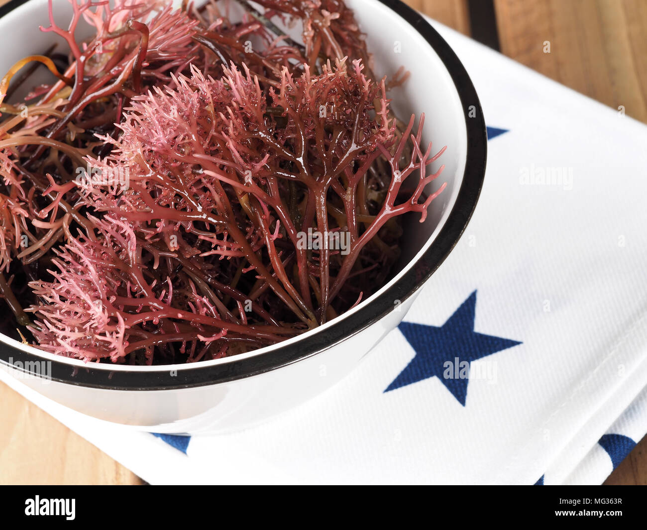 Gigartina Pistillata Edible red seaweed in the family Gigartina. Binomial name Gigartina Pistillata Stock Photo Alamy