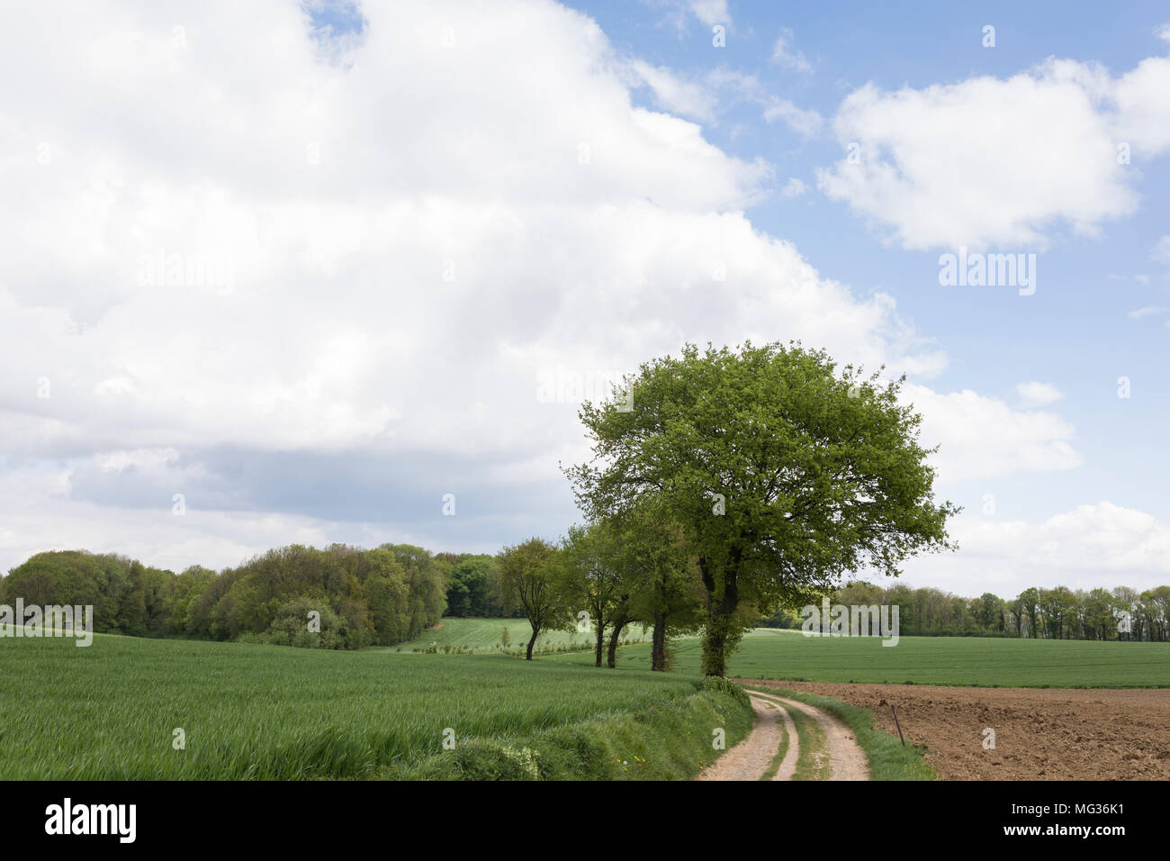 Hills of limburg hi-res stock photography and images - Alamy