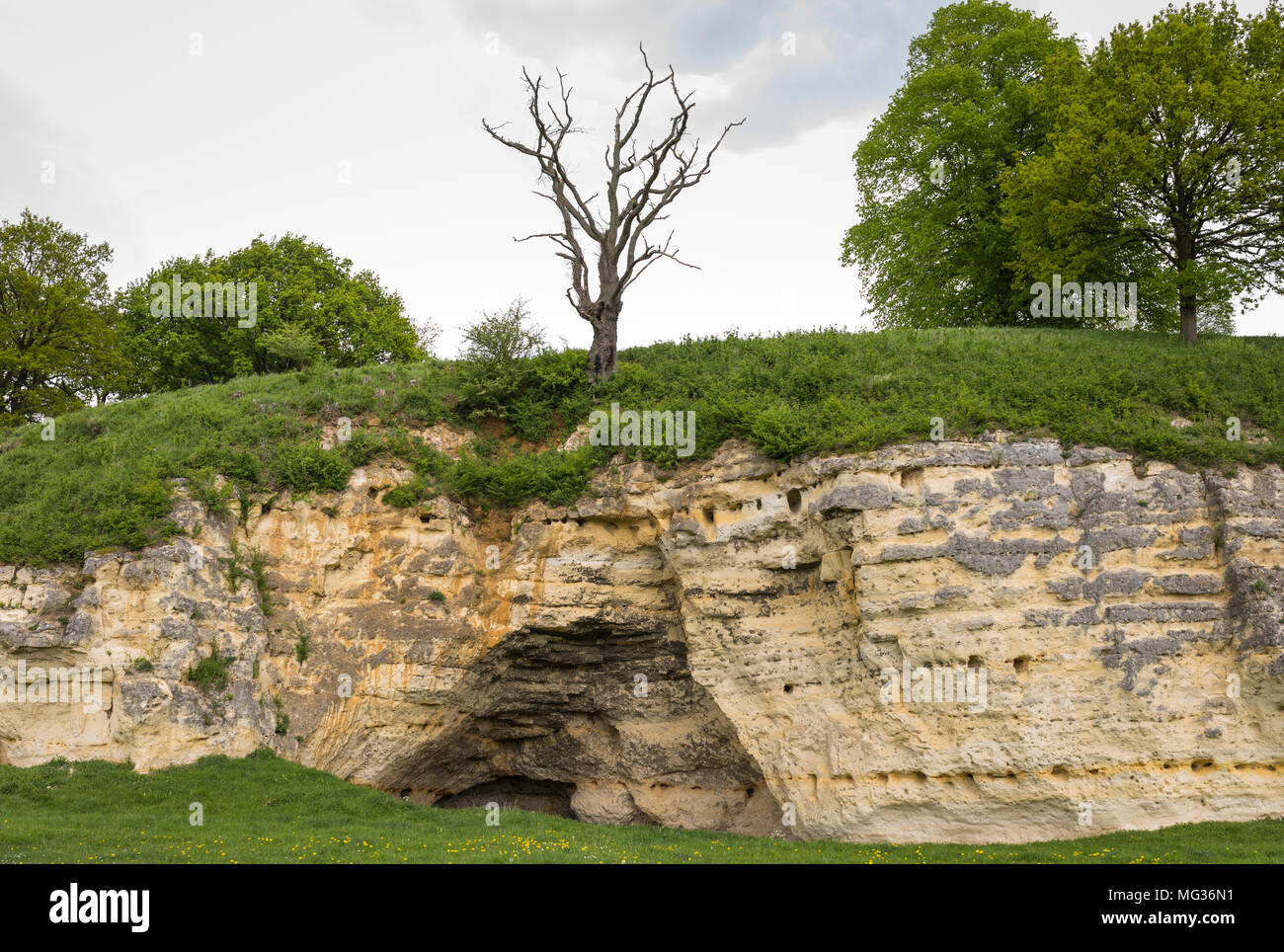 Historical ancient outcrop with caves "Daolkesberg" from the ...