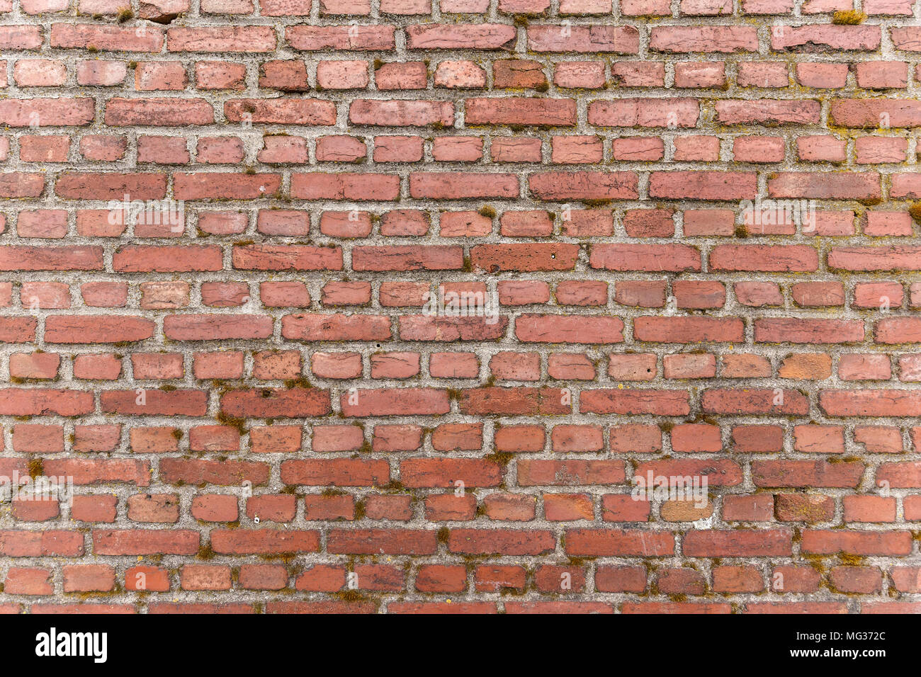 Weathered red brick wall texture background Stock Photo - Alamy