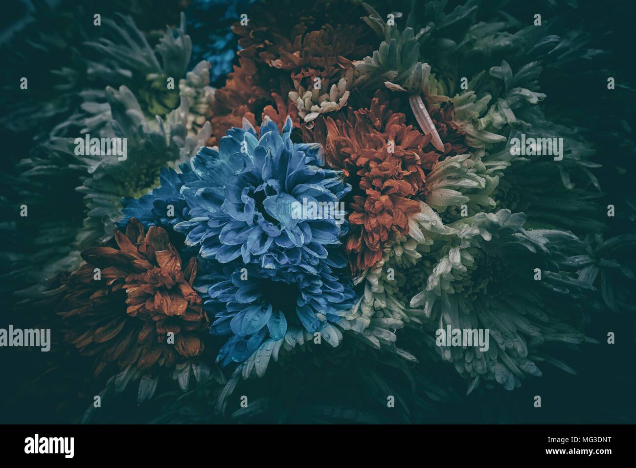 Colorful Flowers Background in Vintage Style Stock Photo - Alamy