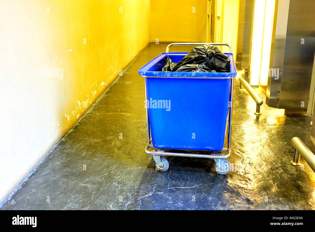 Close-up Movable Garbage Bin Stock Photo - Alamy