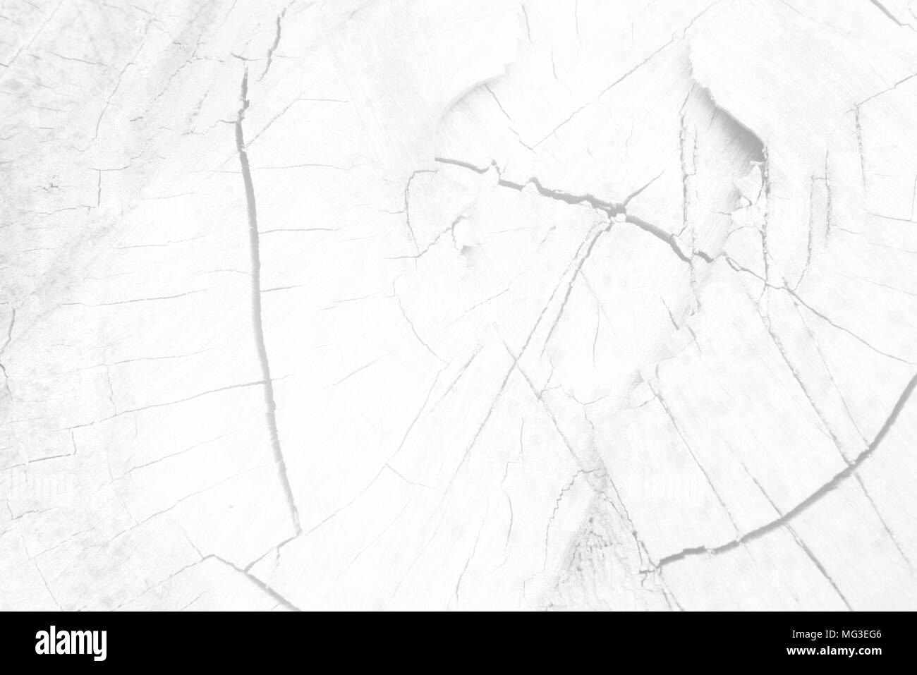 Trunk cutting hi-res stock photography and images - Alamy