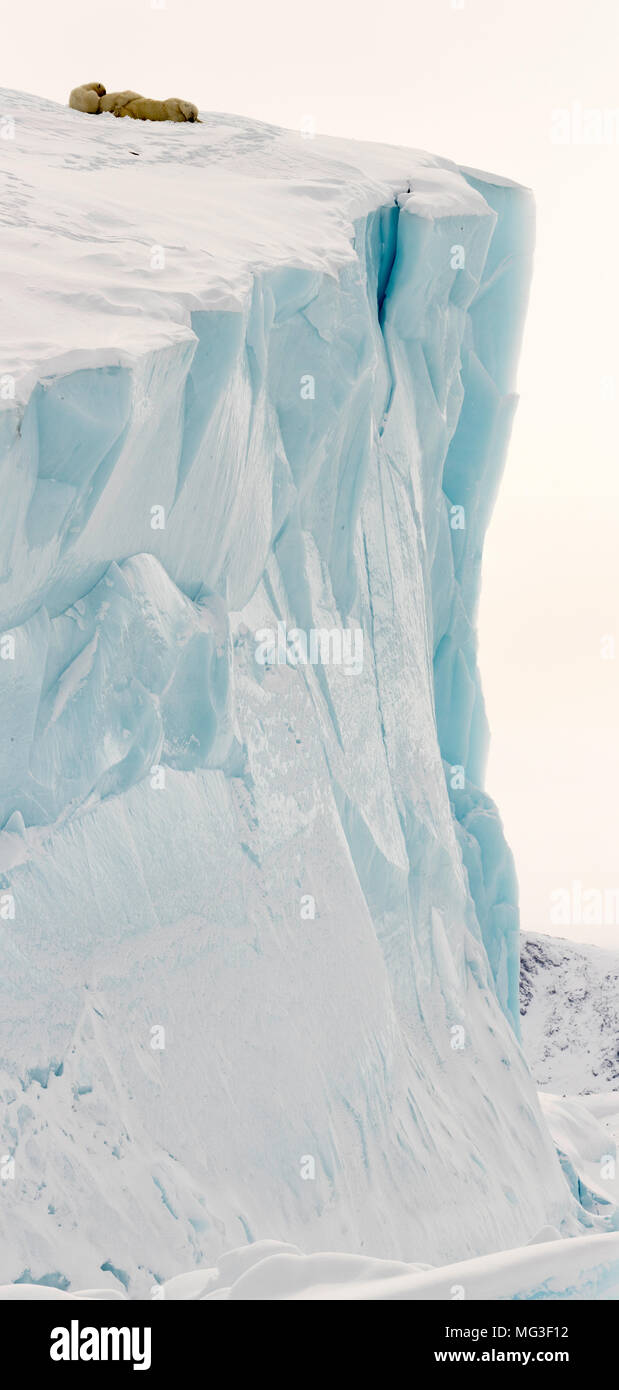 Inuit canada hi-res stock photography and images - Alamy