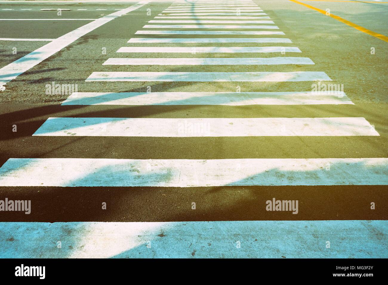 Crosswalk White Line on Road for Safety Walking with Lihgt Leak Stock ...