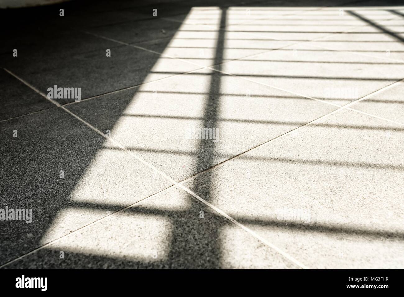 Sunlight on Ground Stock Photo - Alamy