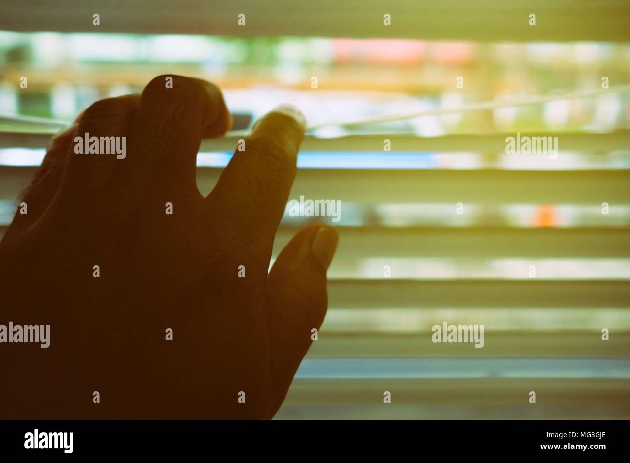 Hand Opening Window Blind with Sunlight Beam Stock Photo - Alamy