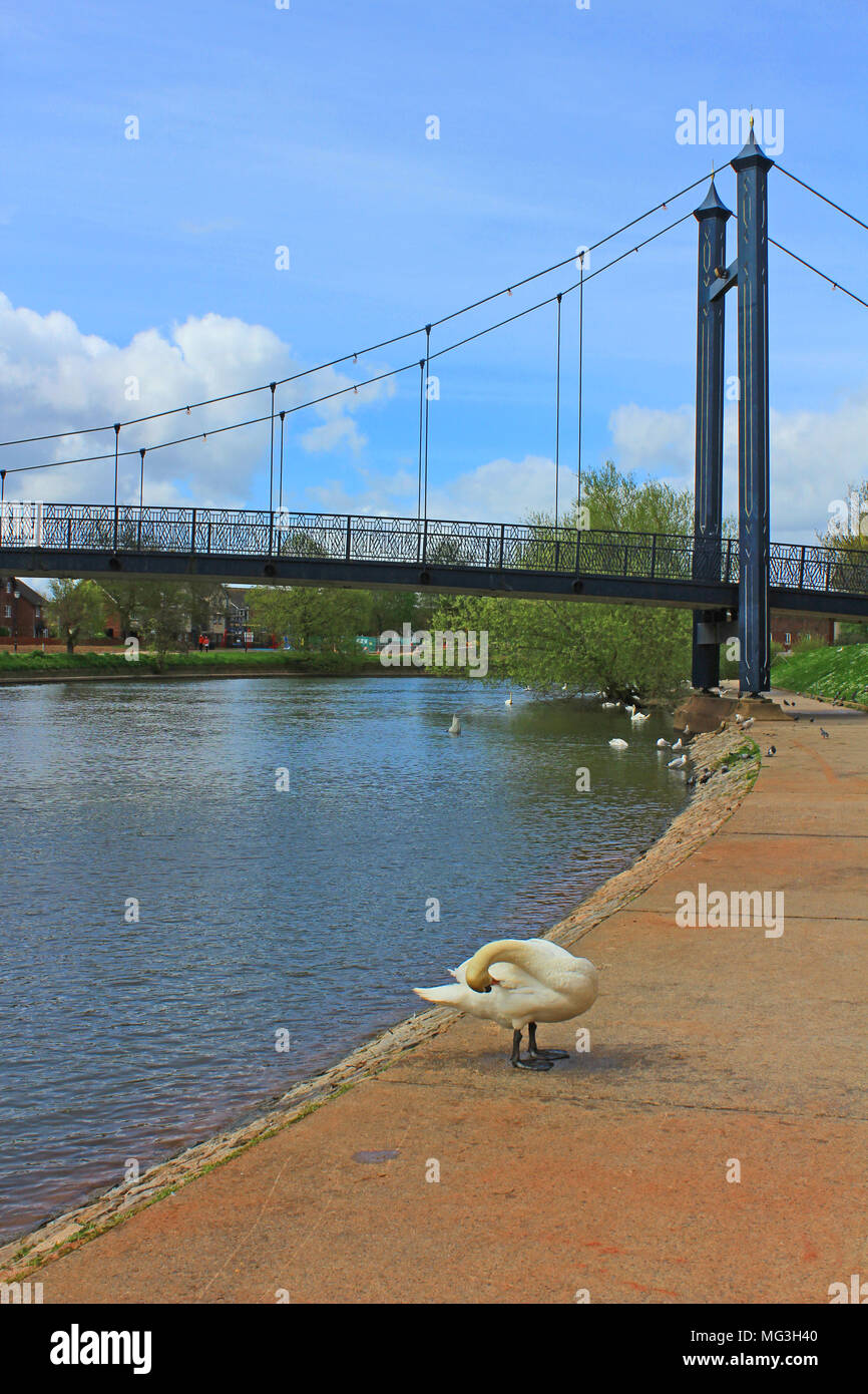 Exe bridge exeter hi-res stock photography and images - Alamy