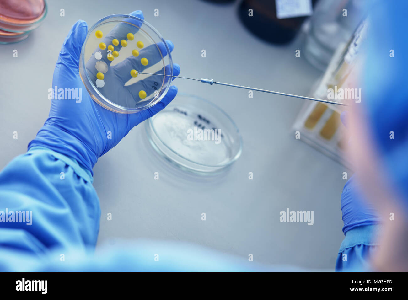 Demonstration of processes in the chemical laboratory. Chemical ...