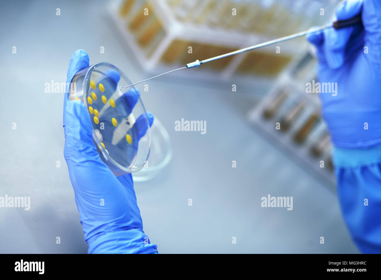 Demonstration of processes in the chemical laboratory. Chemical ...