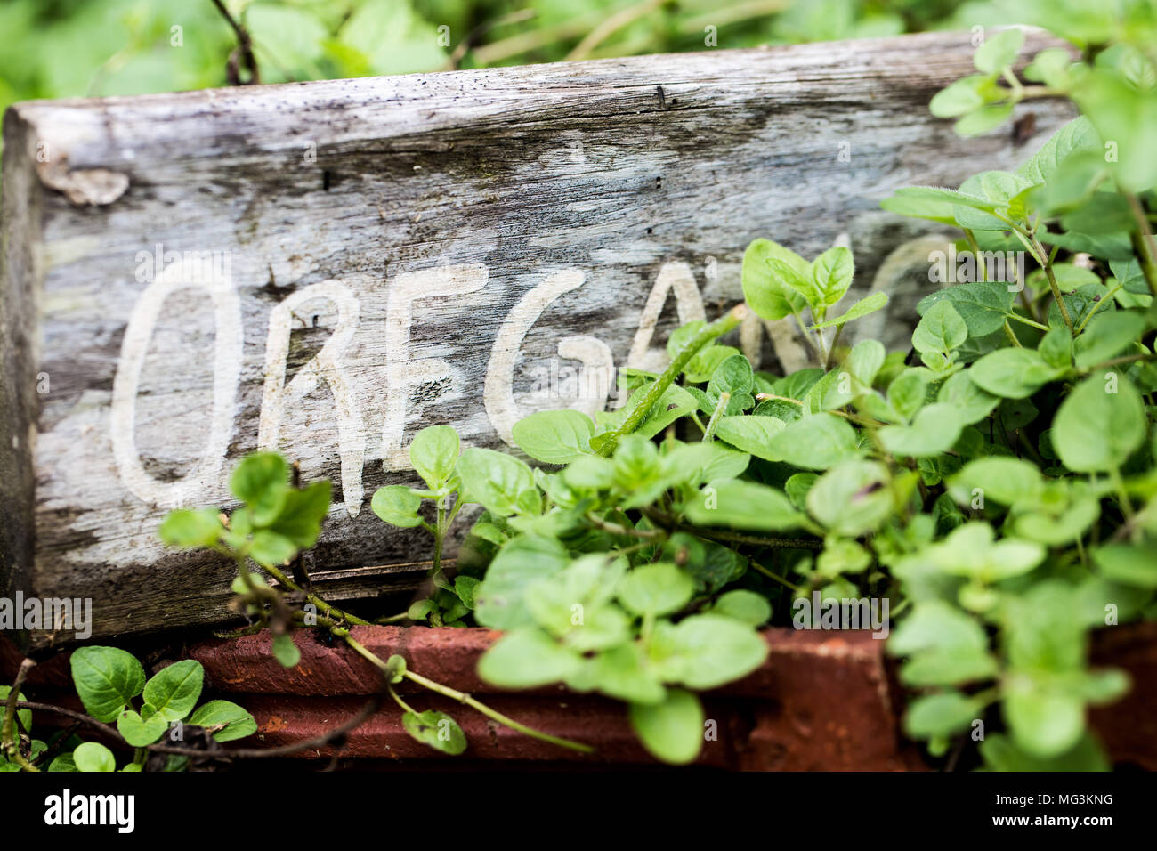 Old wood sign hi-res stock photography and images - Alamy