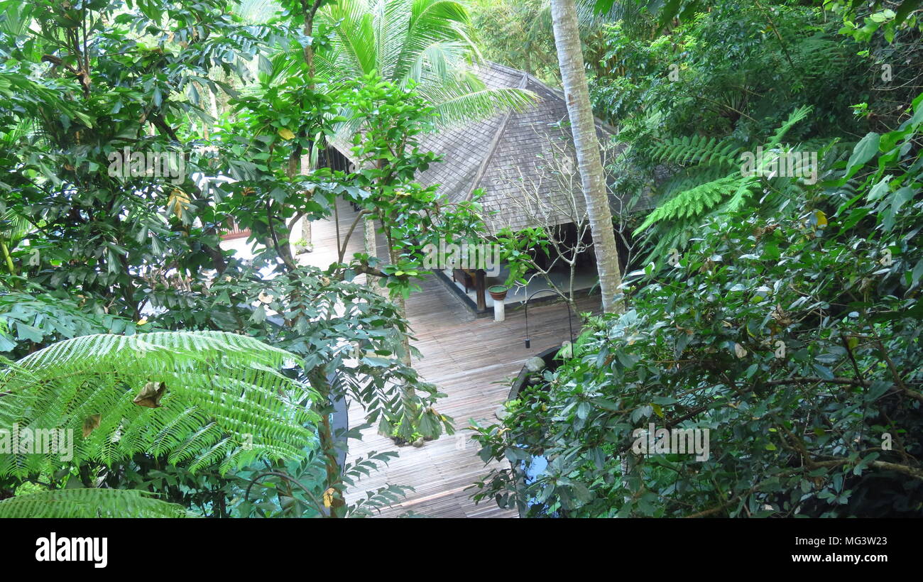 The secret life of trees hi-res stock photography and images - Alamy