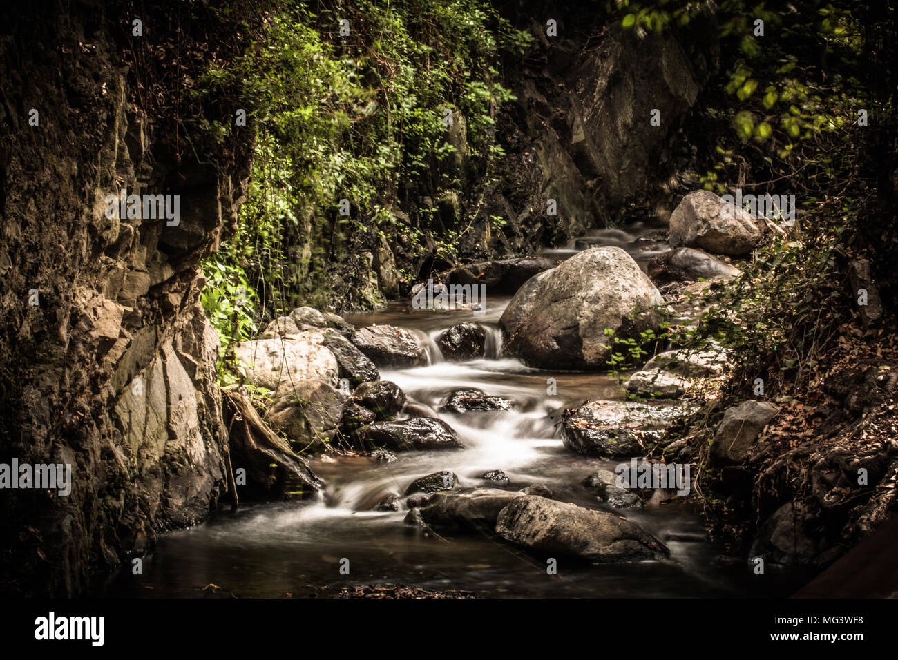 lake and rock with full green forest Stock Photo - Alamy