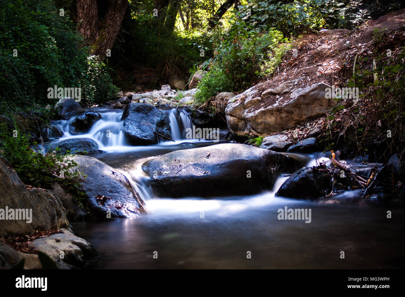 lake and rock with full green forest Stock Photo - Alamy