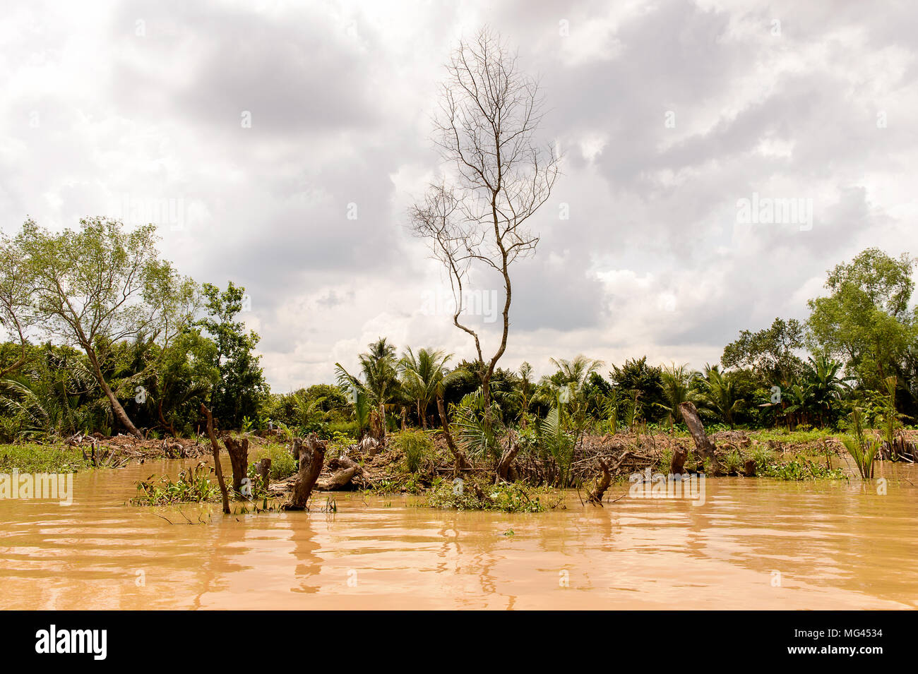 Beautiful nature of Mekong Delta in Vietnam Stock Photo - Alamy