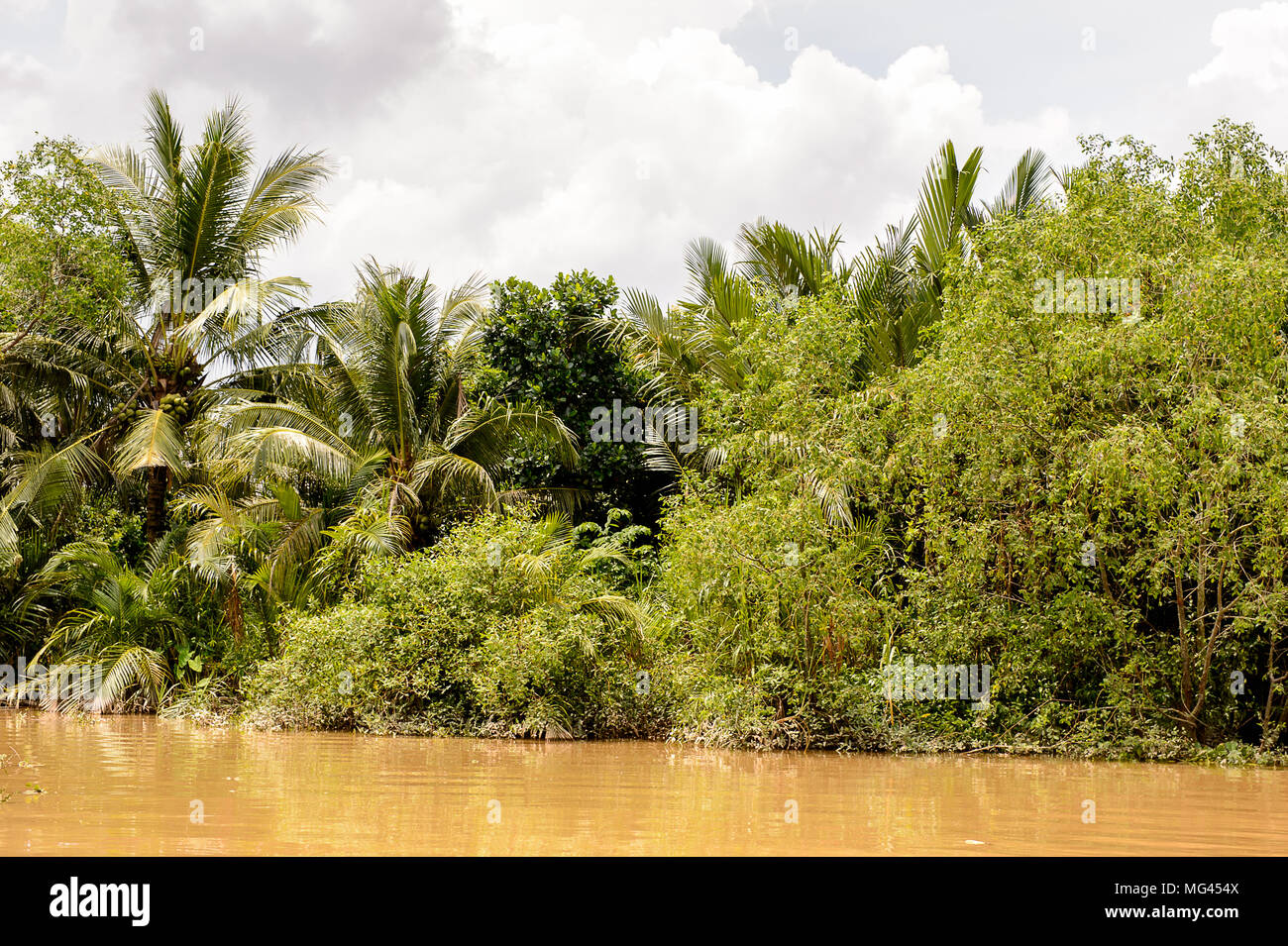 Beautiful nature of Mekong Delta in Vietnam Stock Photo - Alamy