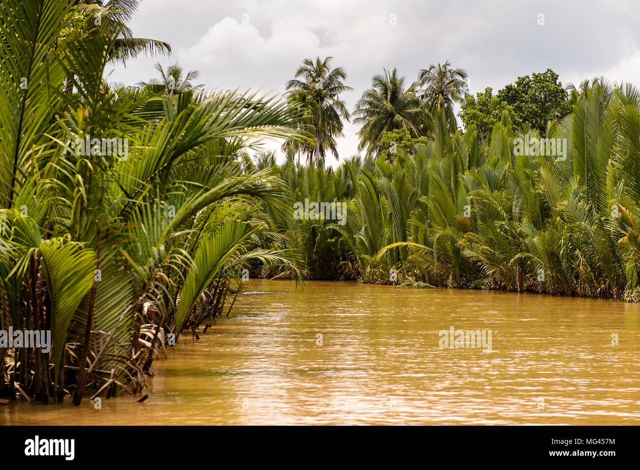 Beautiful nature of Mekong Delta in Vietnam Stock Photo - Alamy