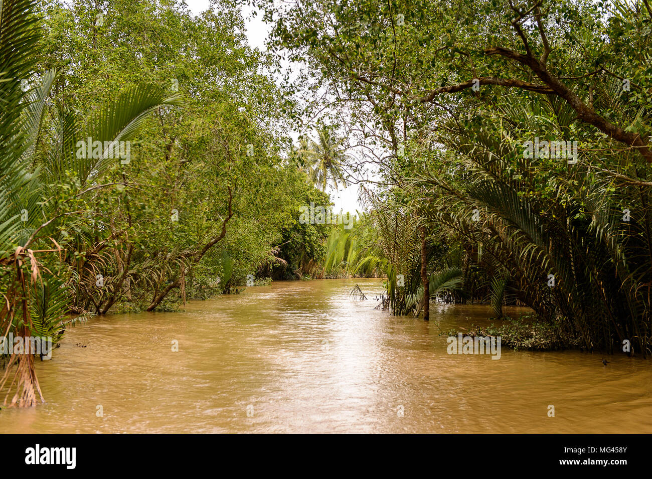 Beautiful nature of Mekong Delta in Vietnam Stock Photo - Alamy