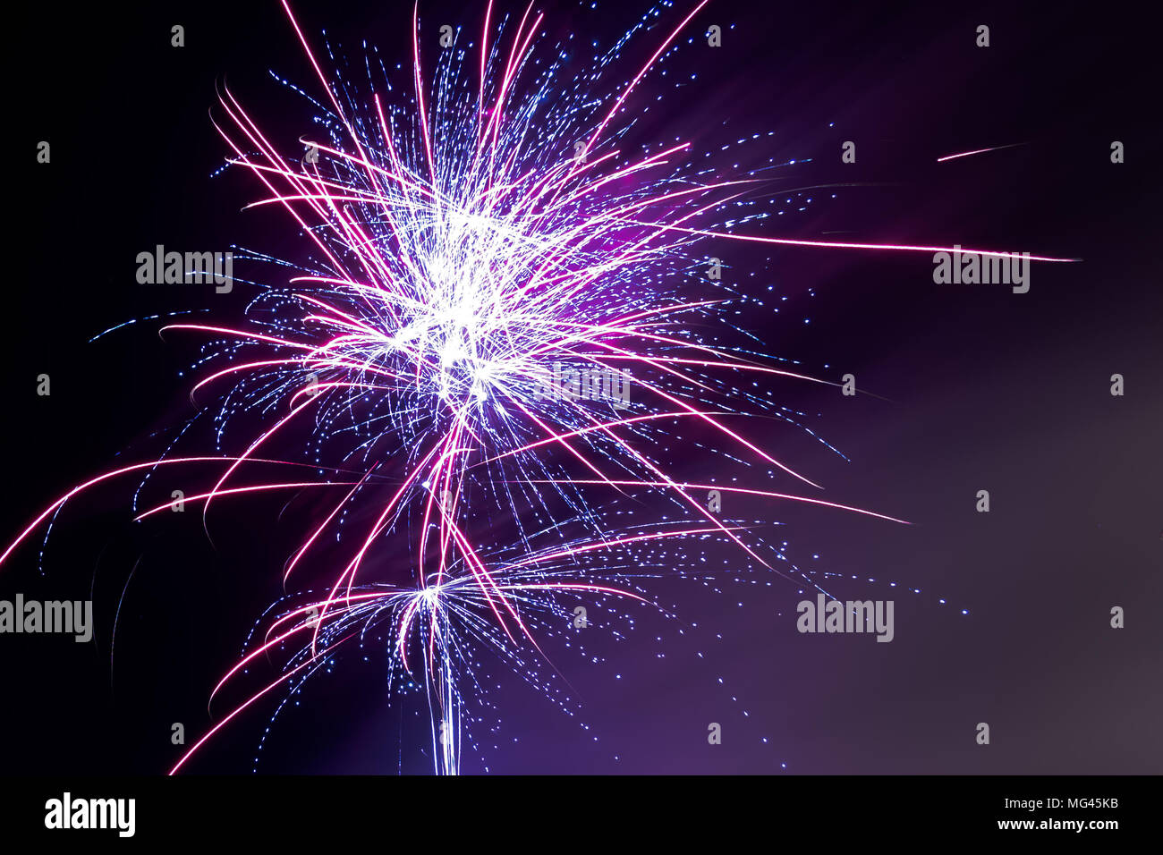 Purple fireworks against the black sky at night Stock Photo - Alamy