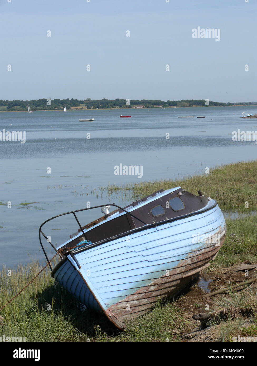 Duck pond in suffolk hi-res stock photography and images - Alamy