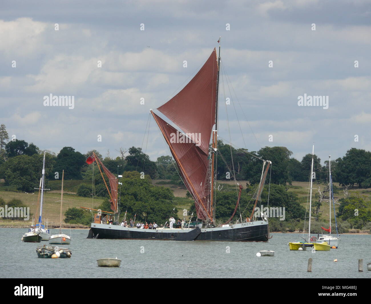 Thames sailing barge, with red sails, on the sea in Suffolk, England ...