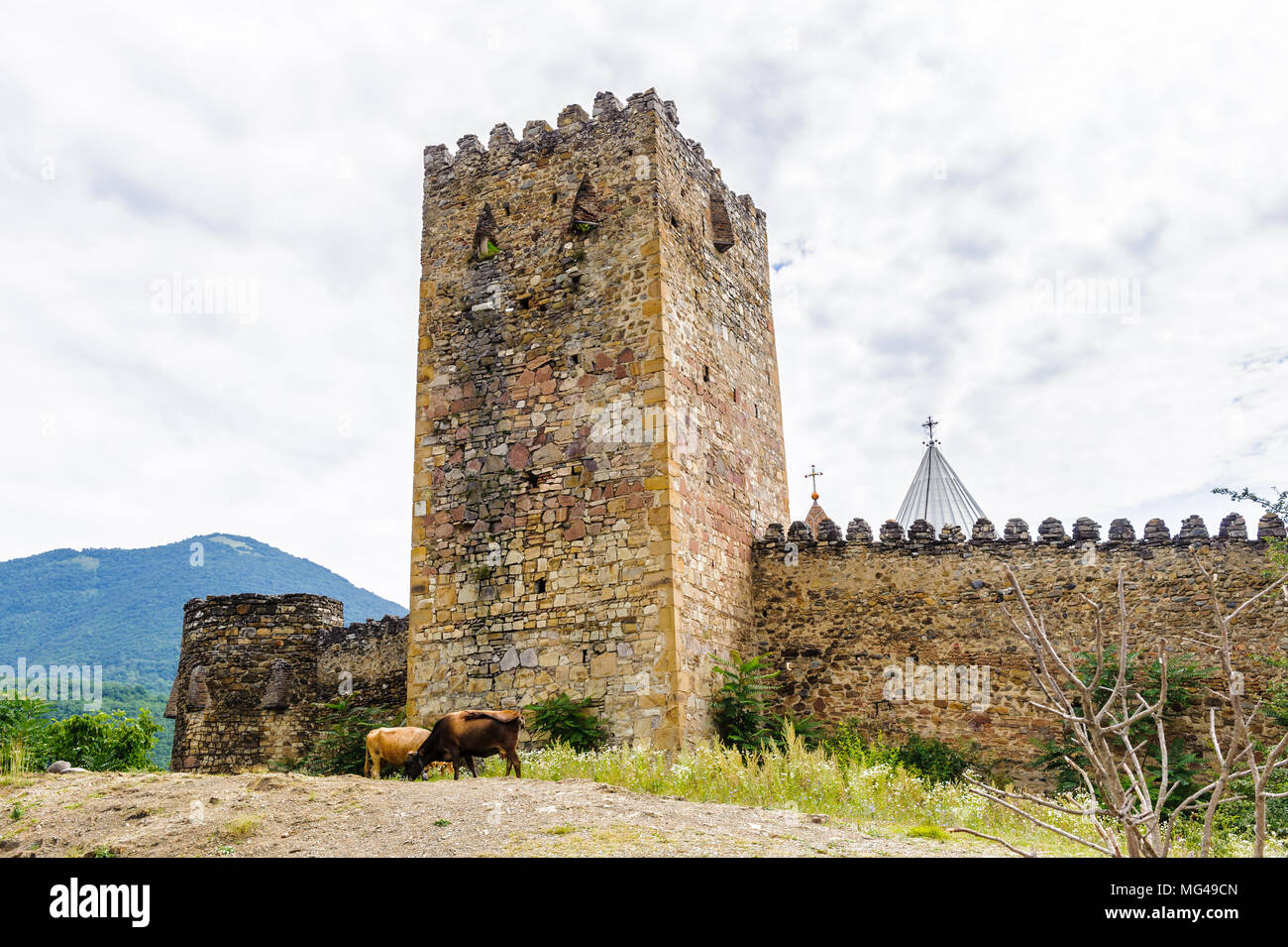 Ananuri Castle, a castle complex on the Aragvi River in Georgia. UNESCO ...