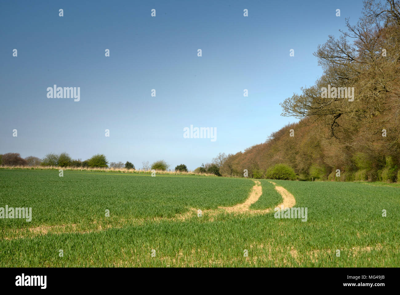 Aston Rowant High Resolution Stock Photography and Images - Alamy