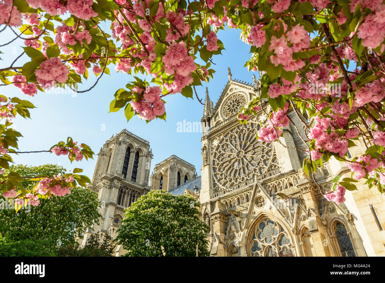 The rose window and bell towers of Notre-Dame de Paris cathedral seen ...