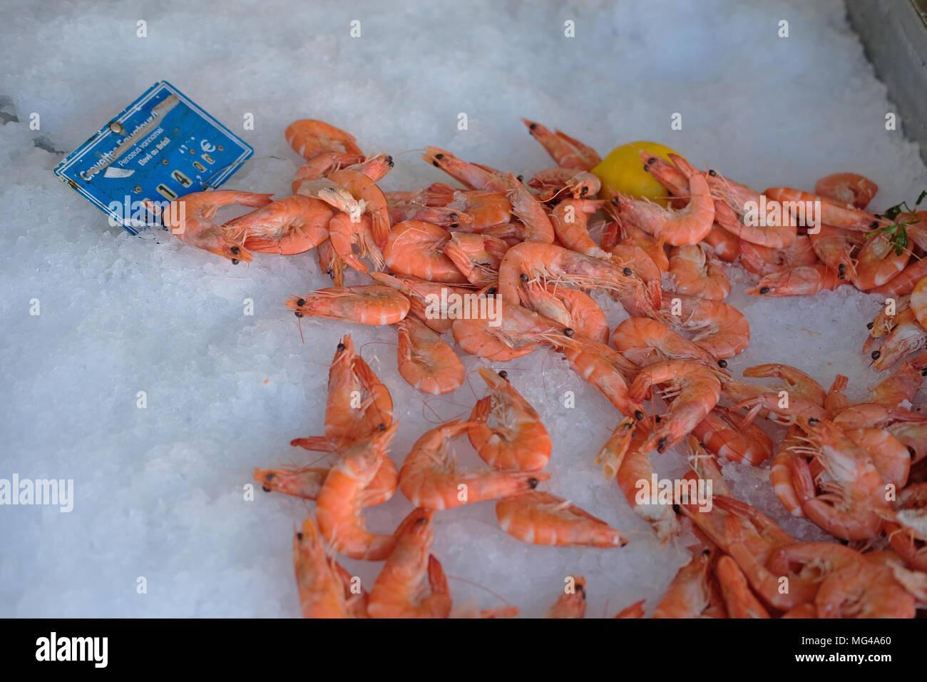 Cooked prawns hi-res stock photography and images - Alamy