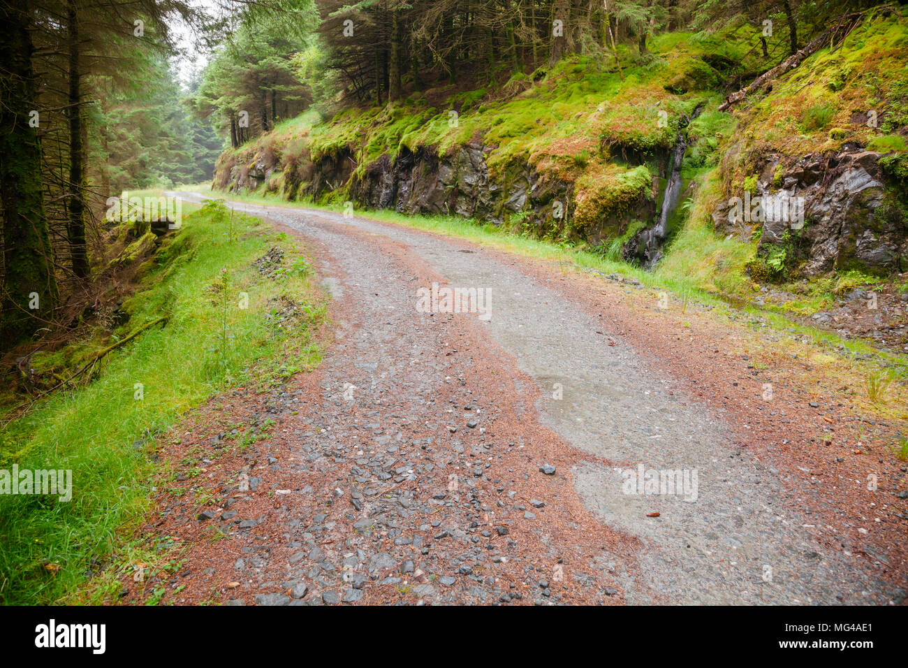 Scottish road hi-res stock photography and images - Alamy
