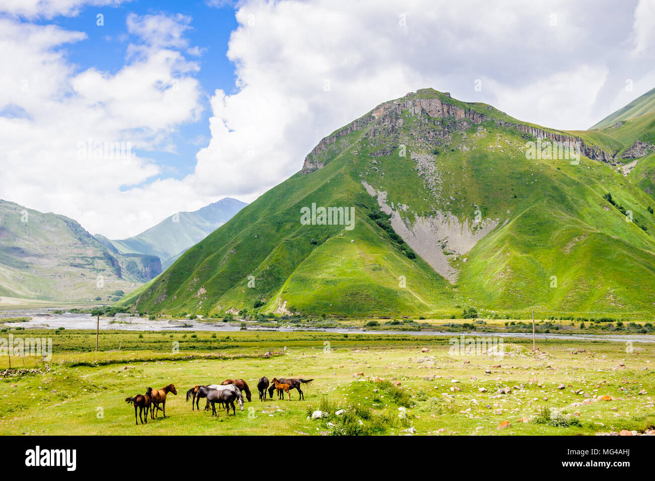 Beautiful nature and mountains in Georgia Stock Photo - Alamy