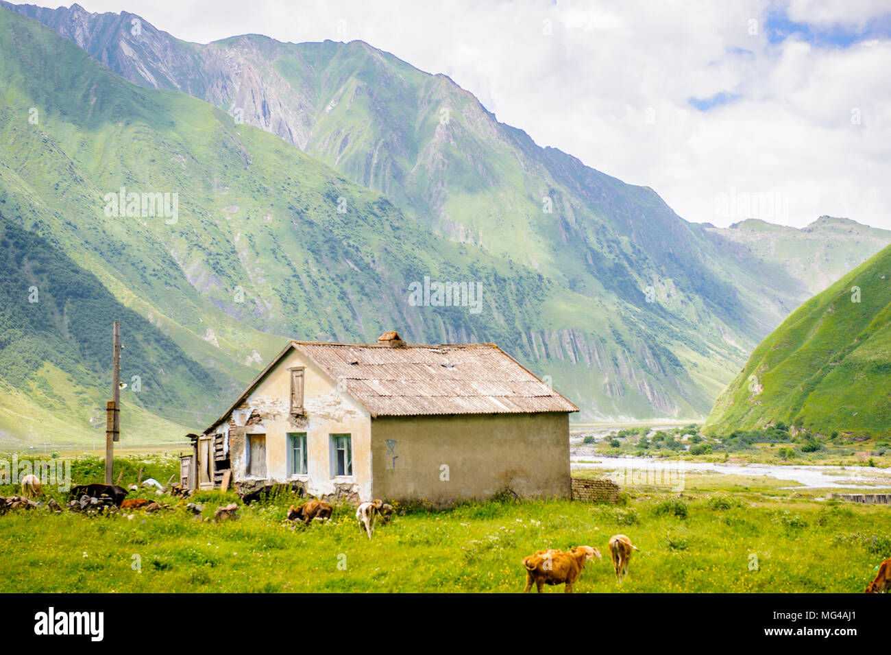 Beautiful nature and mountains in Georgia Stock Photo - Alamy