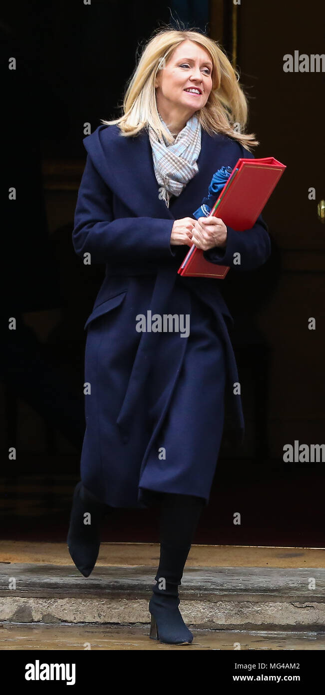 Ministers departs from No 10 Downing Street after attending the weekly ...