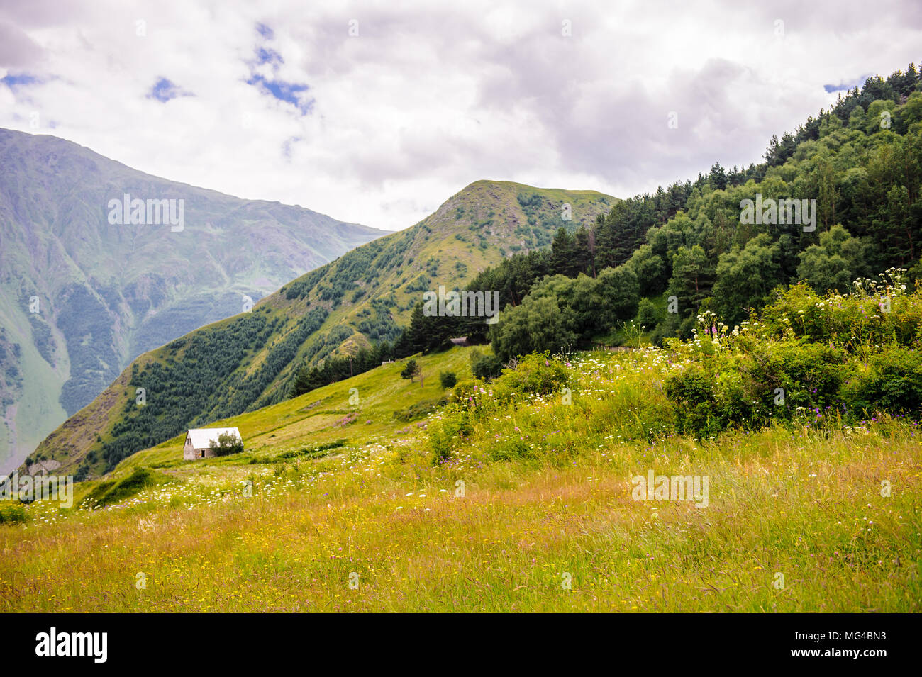 Nature of Georgia Stock Photo - Alamy