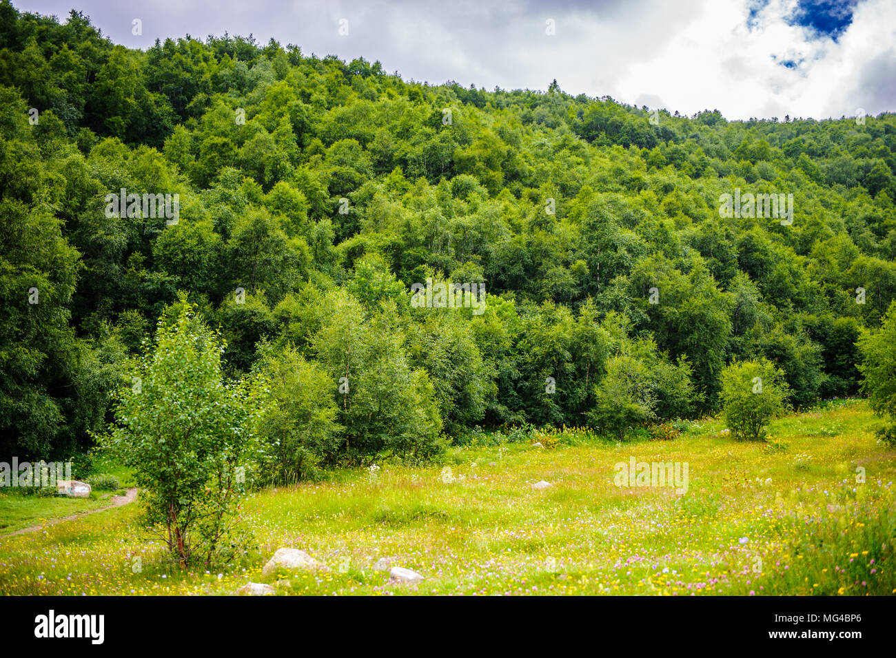 Nature of Georgia Stock Photo - Alamy