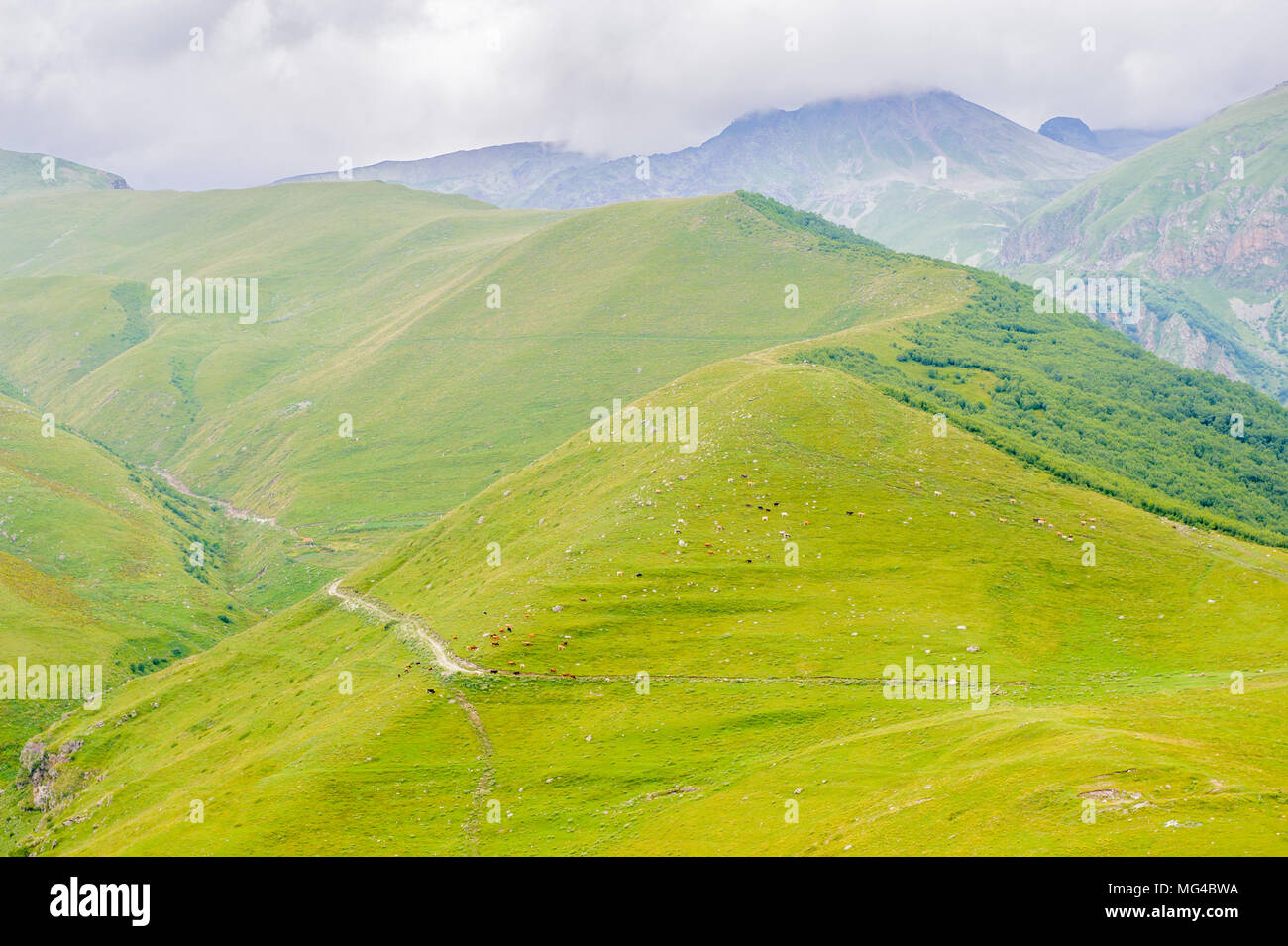 Beautiful nature and mountains in Georgia Stock Photo - Alamy