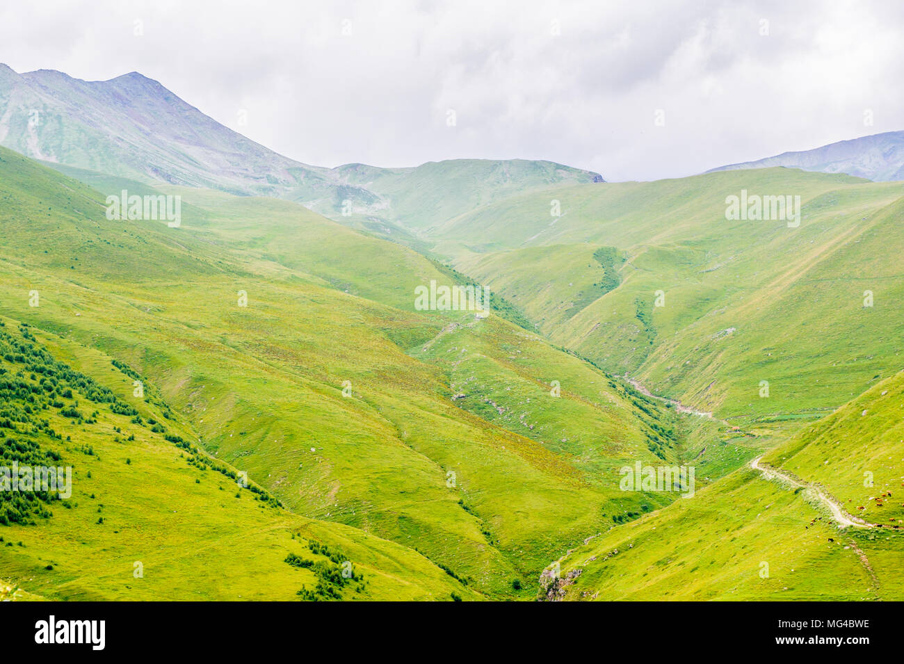 Beautiful nature and mountains in Georgia Stock Photo - Alamy