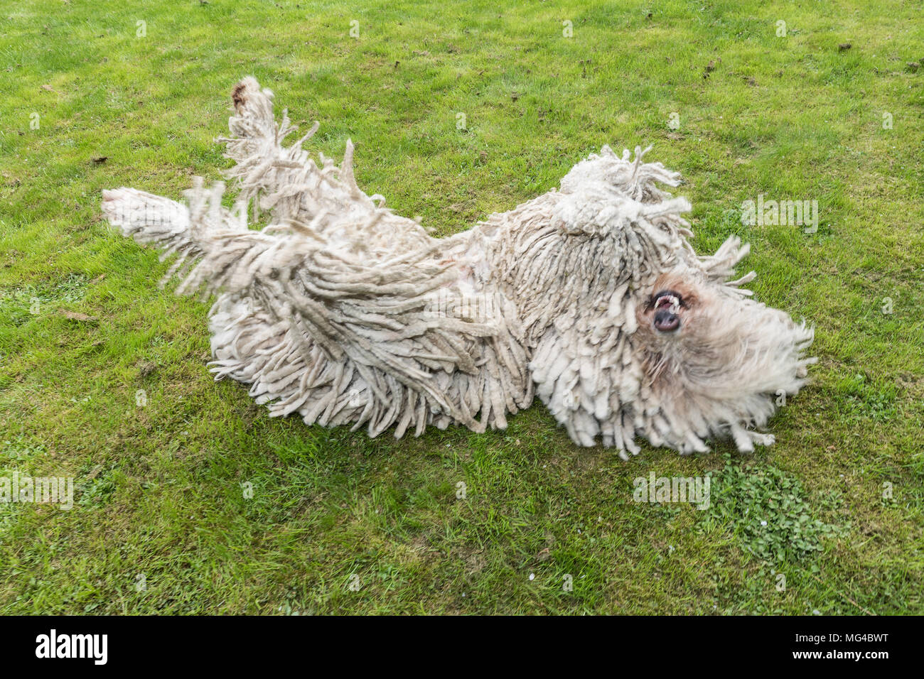 Commodore Background High Resolution Stock Photography and Images - Alamy