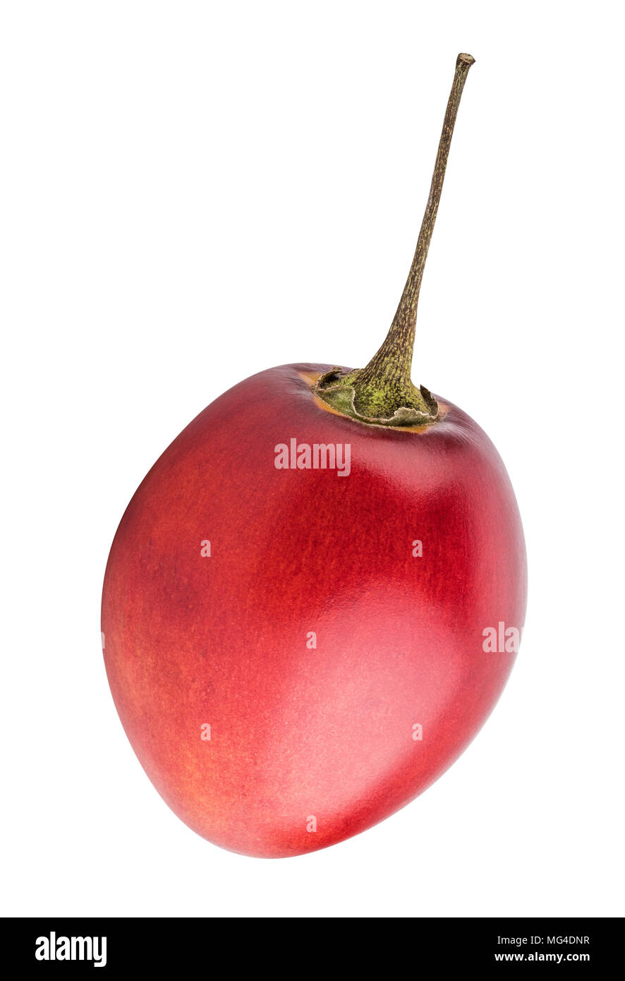 Red tamarillo isolated with shadow on white background. Clipping path ...