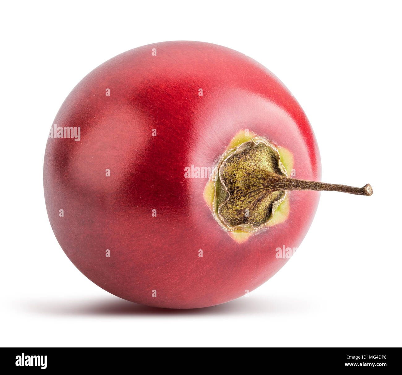 Red tamarillo isolated with shadow on white background. Clipping path ...