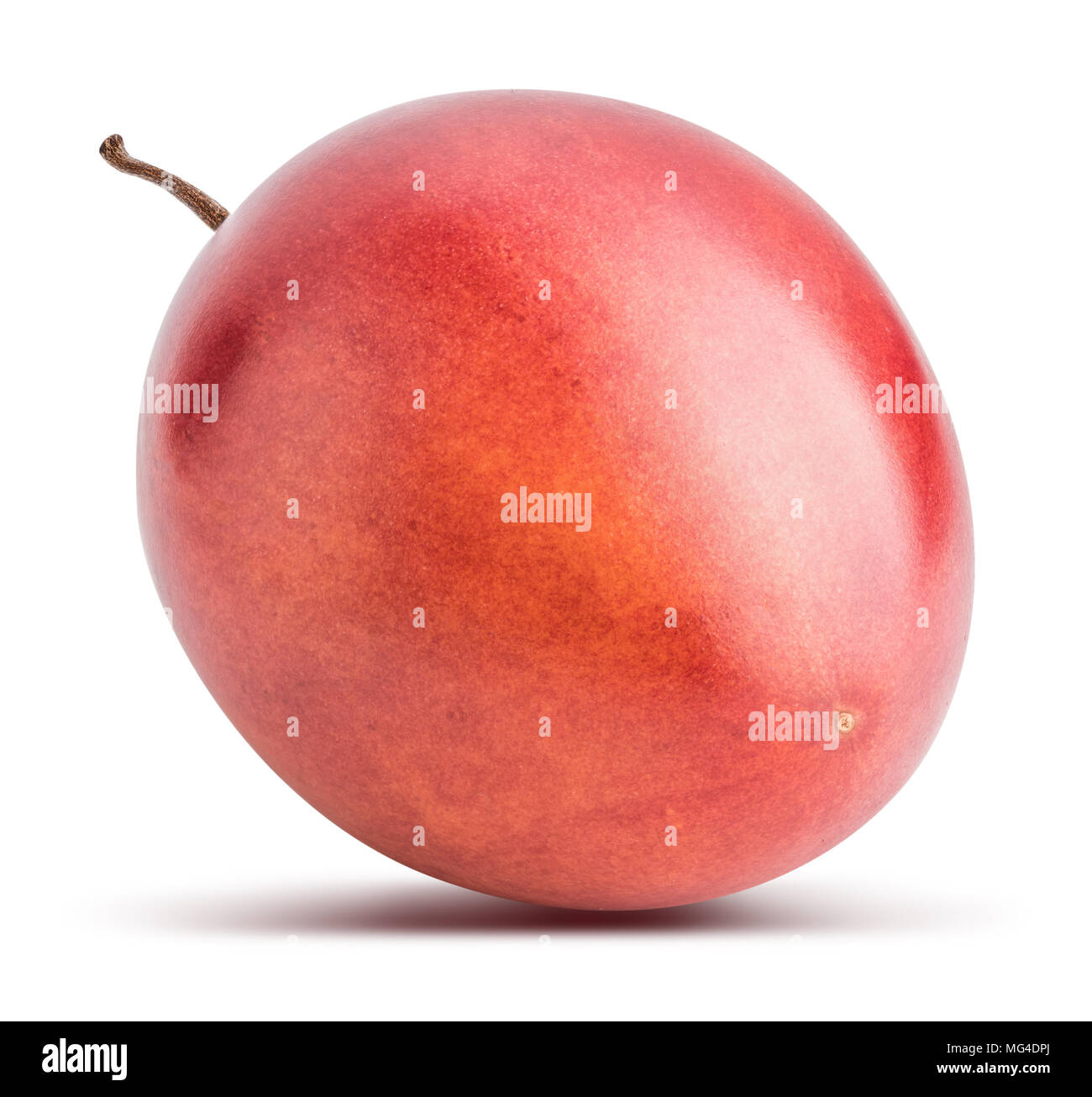 Red tamarillo isolated with shadow on white background. Clipping path ...