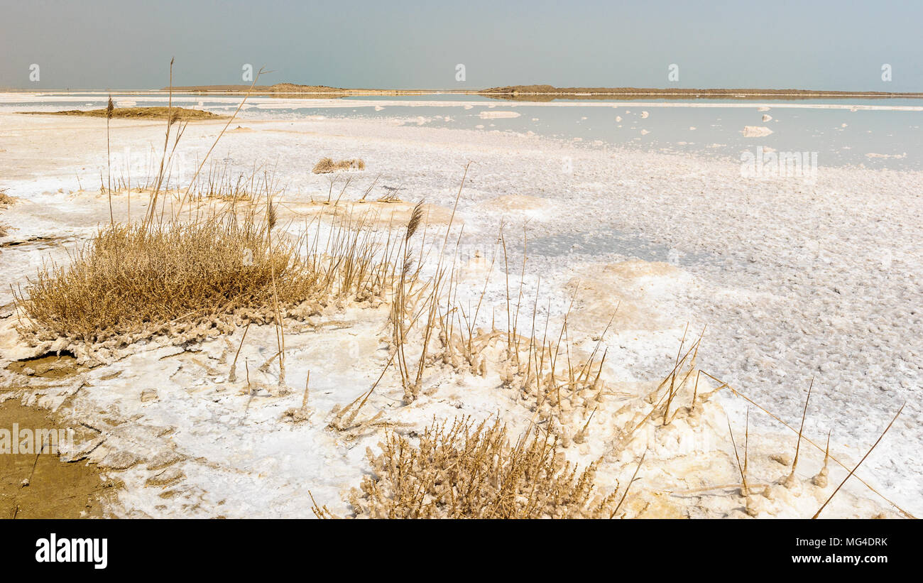 Dead Sea landscape, the saltiest sea in the world Stock Photo - Alamy