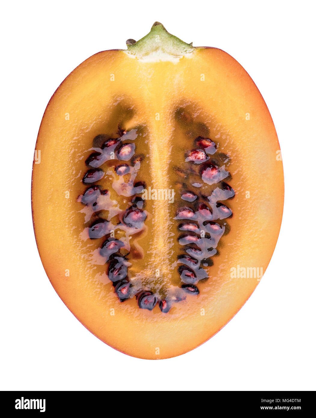 Red tamarillo isolated with shadow on white background. Clipping path ...