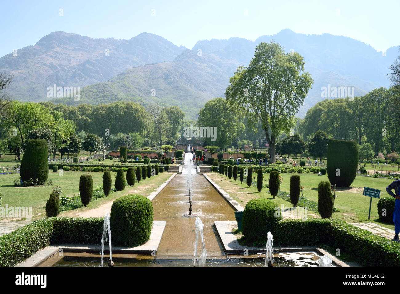 Flowers of the kashmir valley hi-res stock photography and images - Alamy