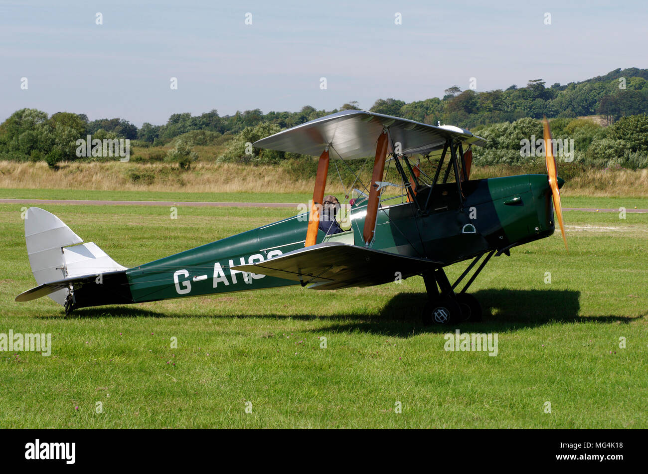 Tiger club hi-res stock photography and images - Alamy