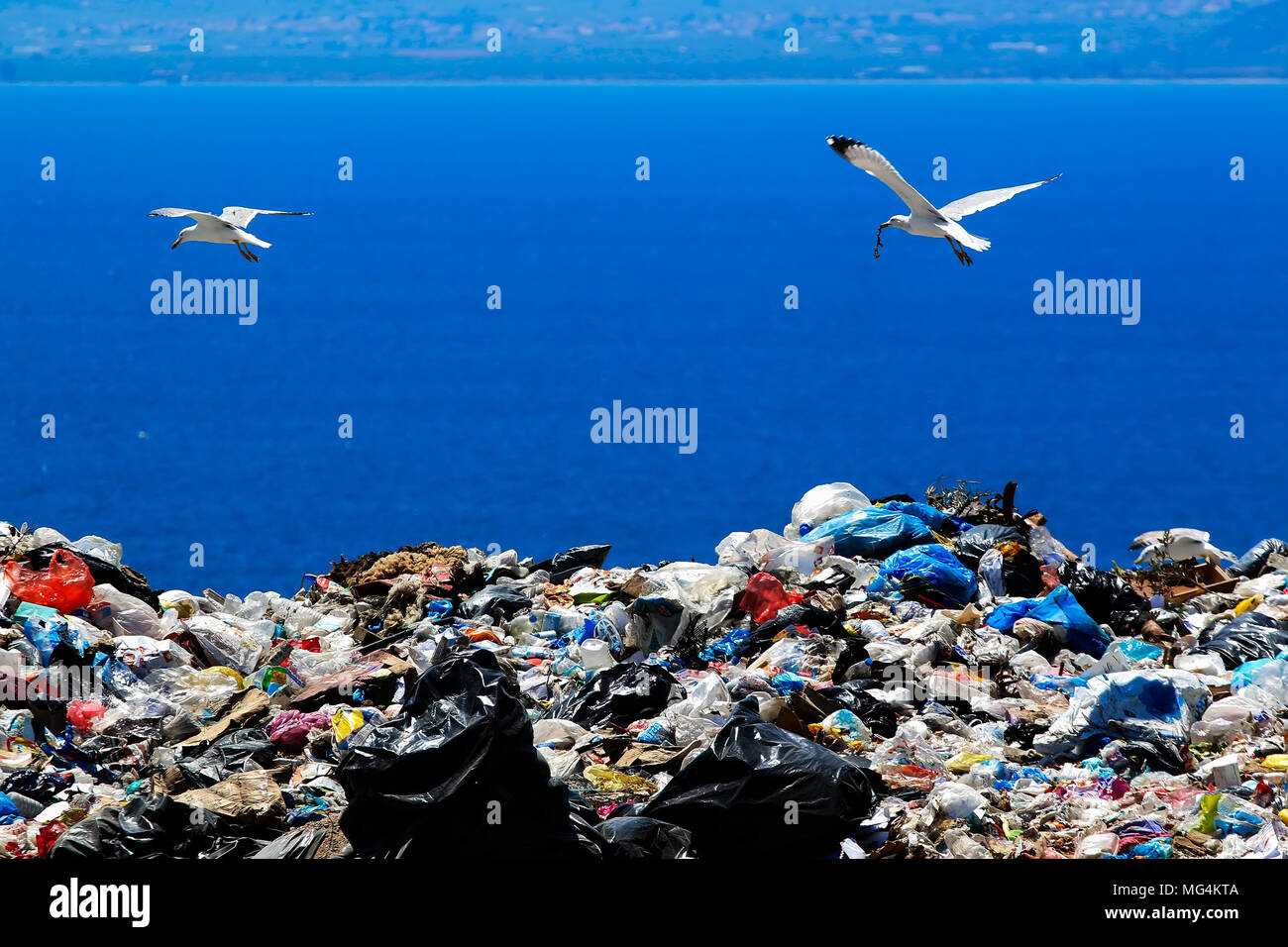 Food waste disposal hi-res stock photography and images - Alamy