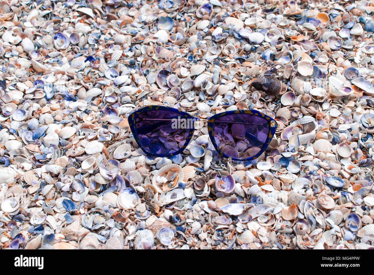 Sunglasses on the background of seashells - lot of shells of different ...